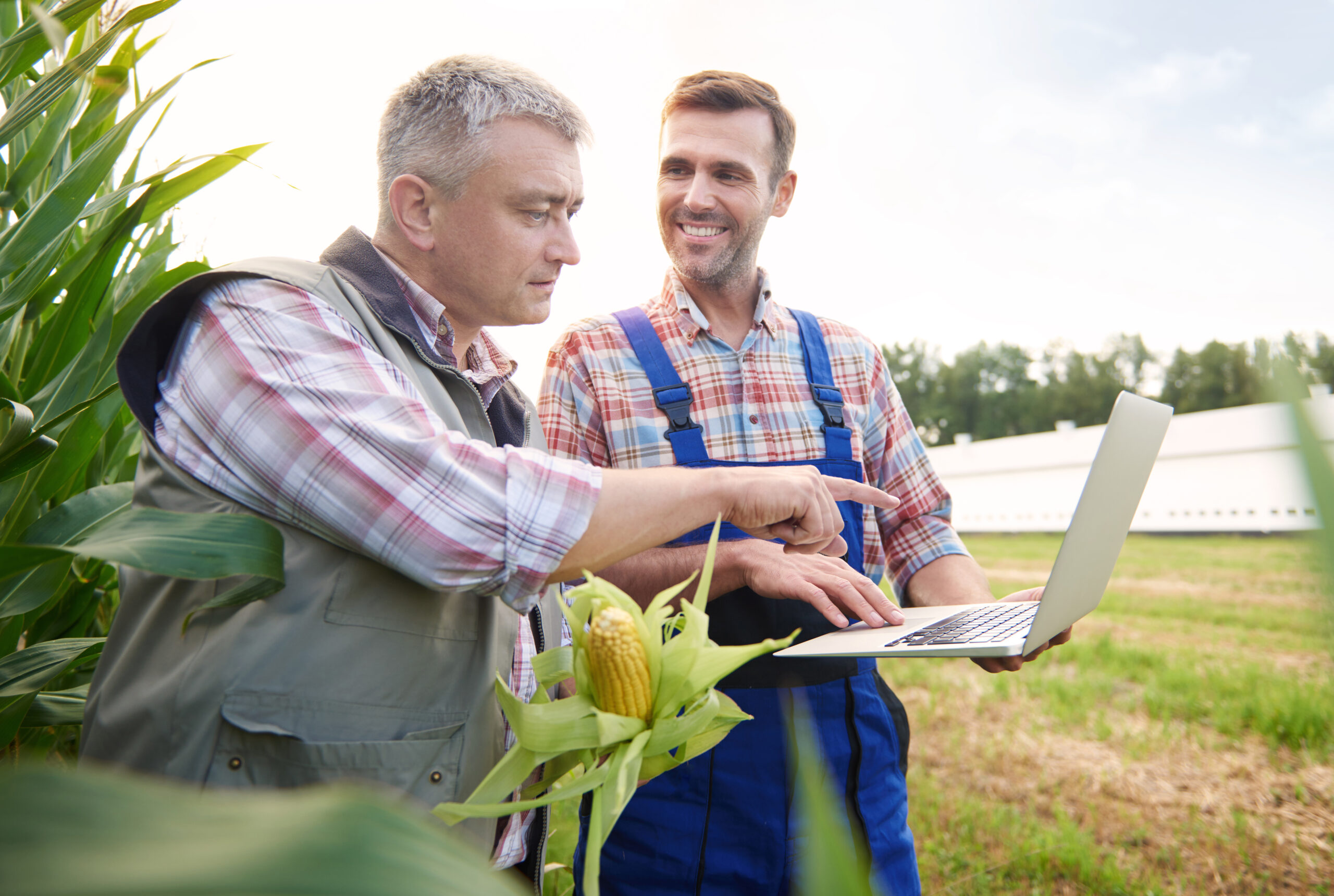 Conheça o TOTVS Agro Multicultivo - Techconn